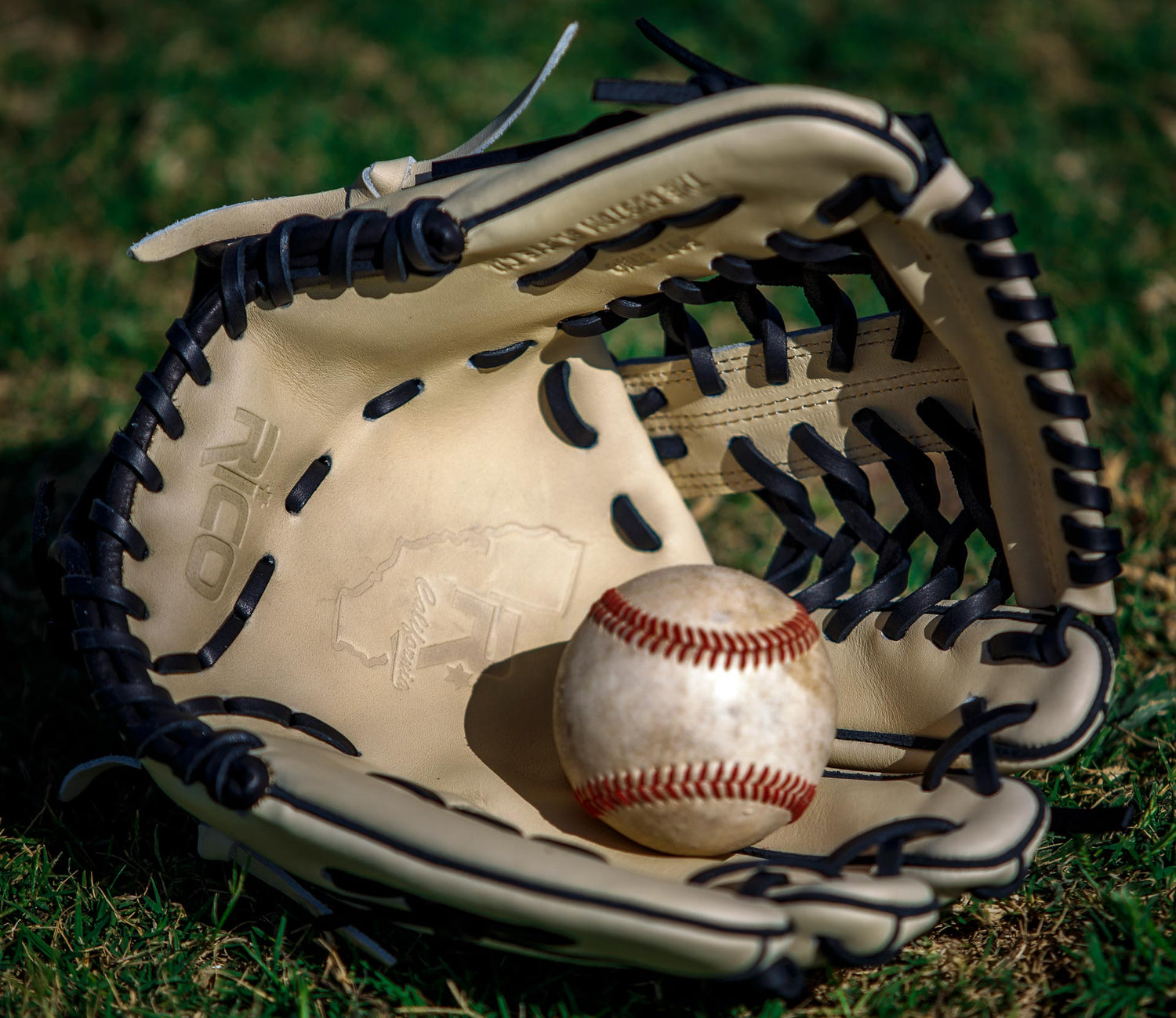 Rico Custom Gloves: Custom Baseball Gloves – Rico Gloves